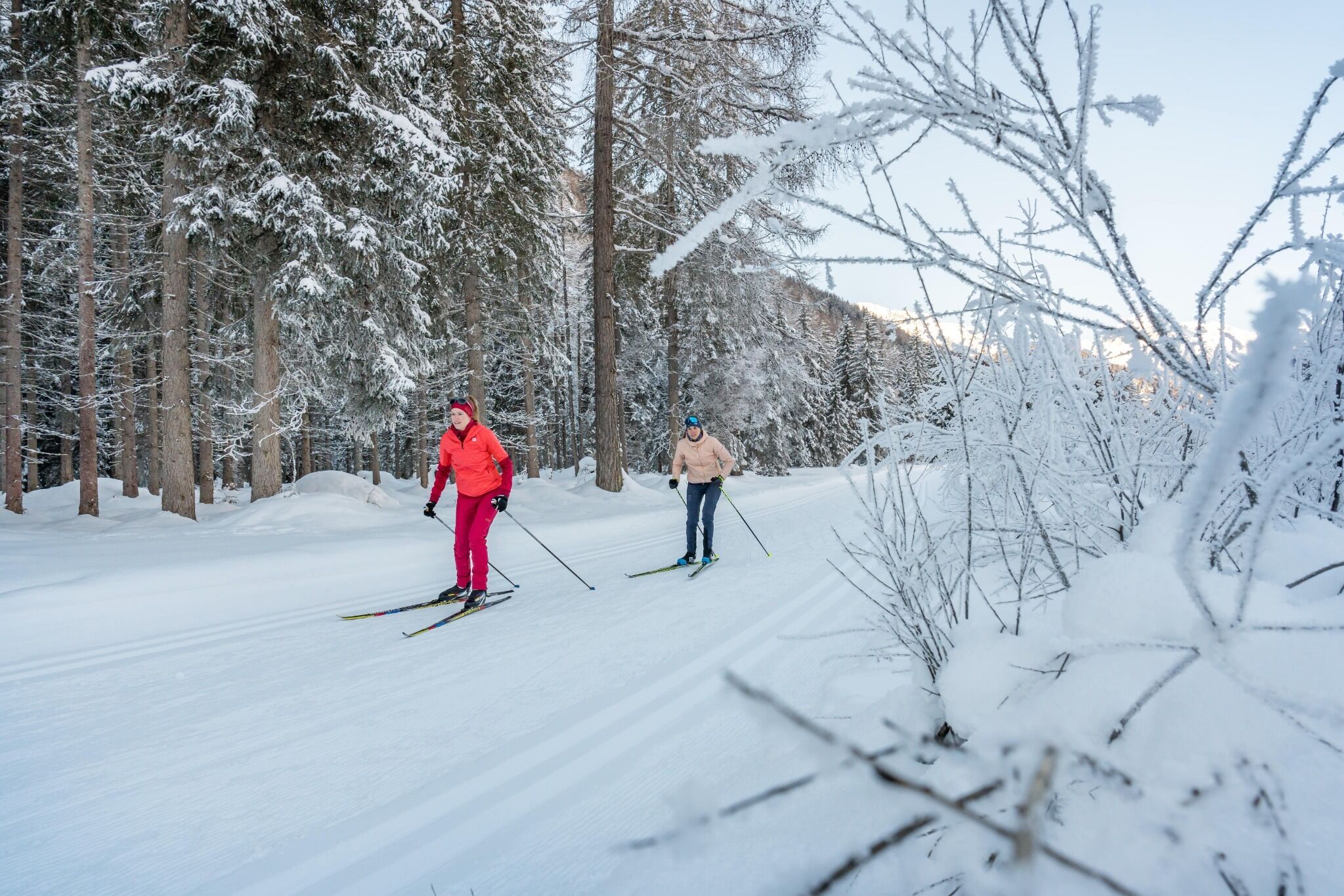 Langlauf Skating » Loipe St. Jakob - Erlsbach | Osttirol Tourismus