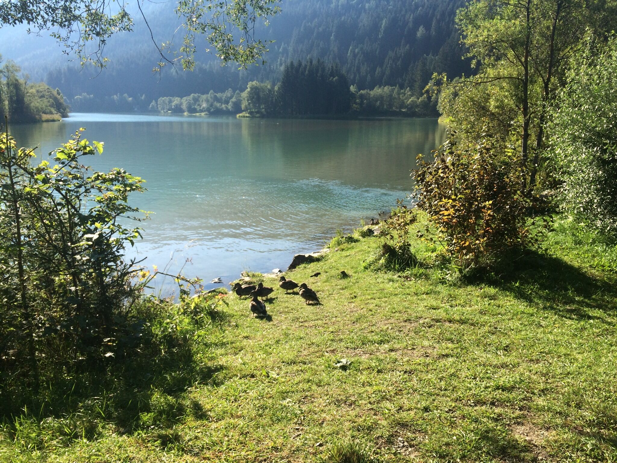 » Circuit of the reservoir | Osttirol Tourismus | Osttirol Tourismus