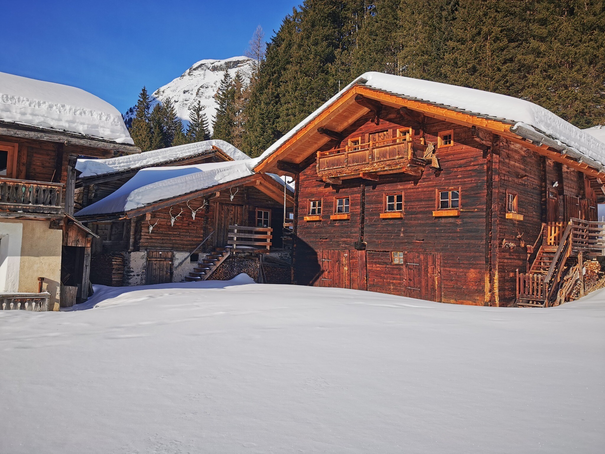 » Winter hiking trail Wohlgemuth-Almen Runde | Osttirol Tourismus ...